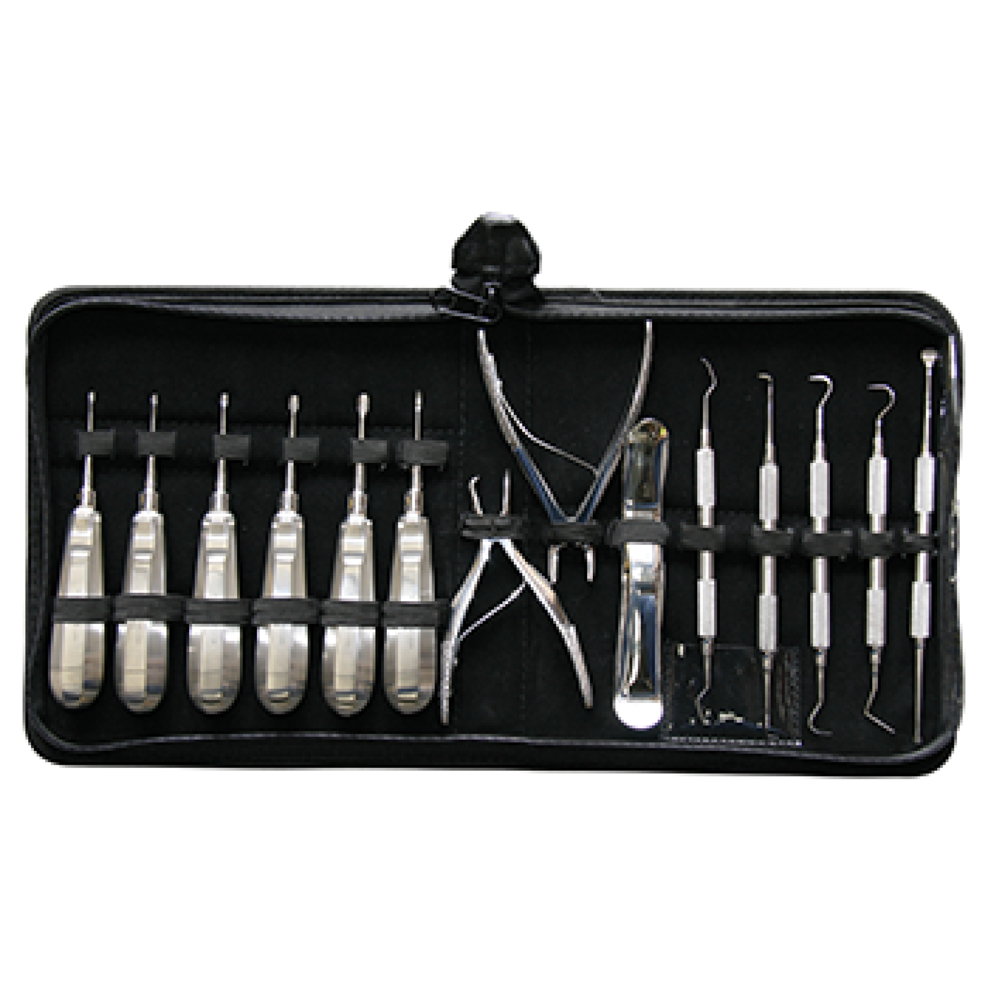 Veterinary Dental Instrument