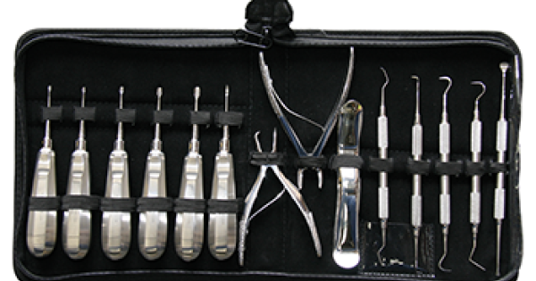 Veterinary Dental Instrument