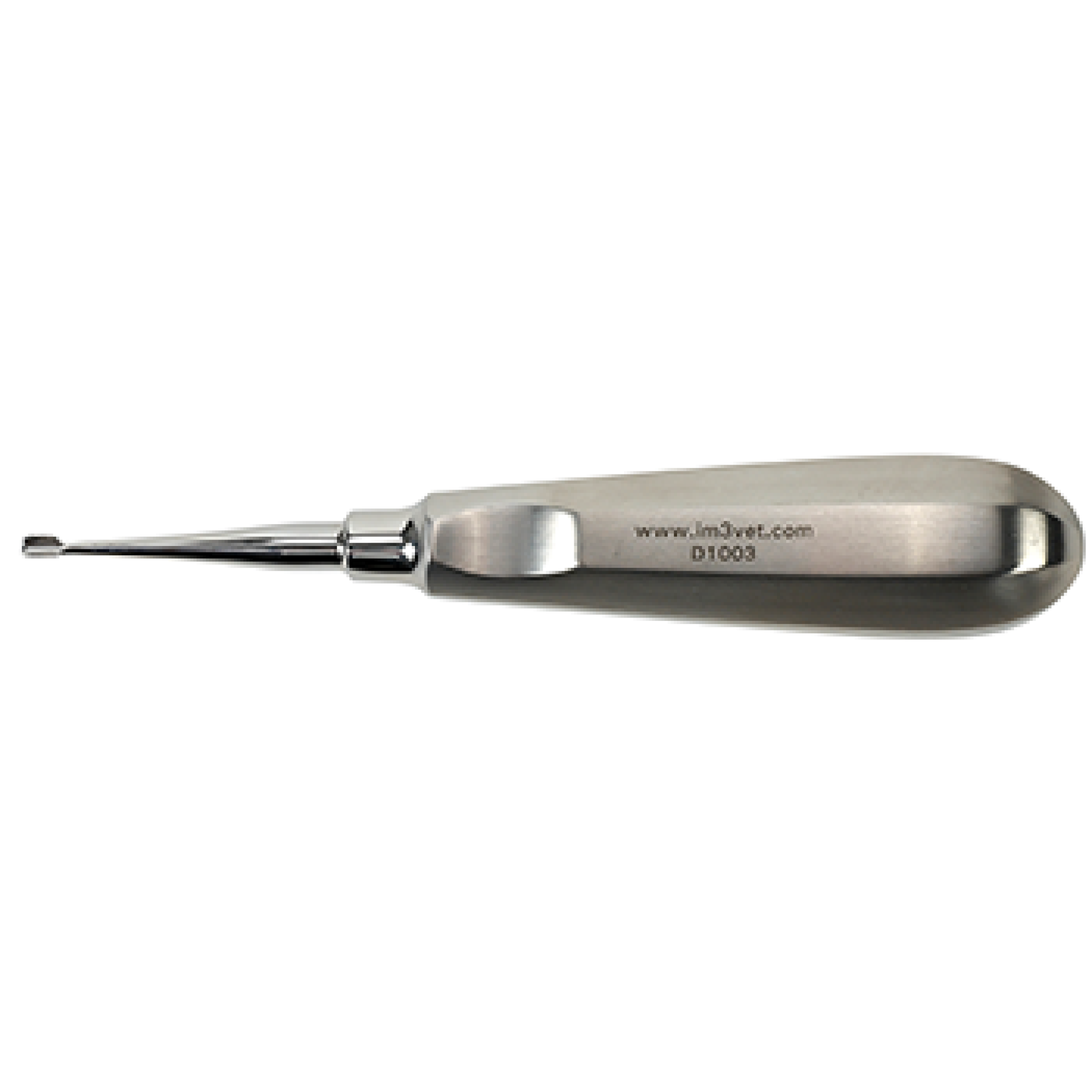 Veterinary Dental Instrument